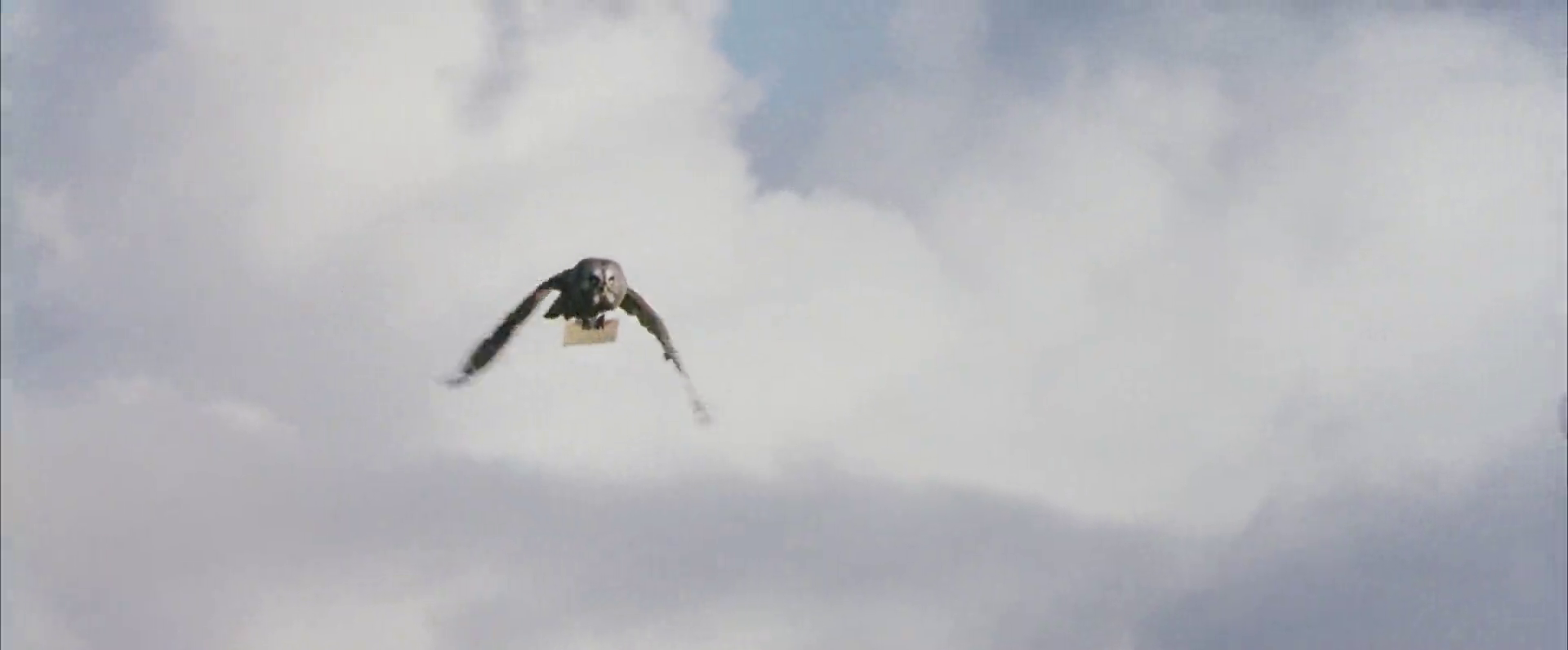 Using the Hero's Journey Archetype - LivingWriter Writing Blog